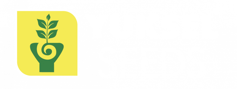 No fear to rugose | Resistant to the ToBRFV | Yuksel Seeds